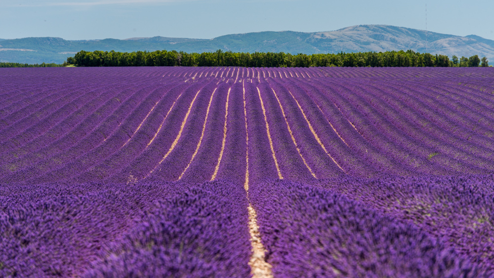 Prowansja - Plan podróży - Addicted to Passion